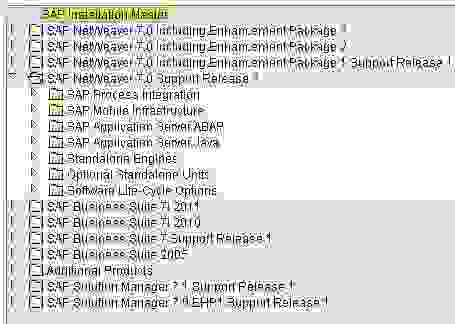 Dual Stack Installation SAP NetWeaver 7.0 in SWPM