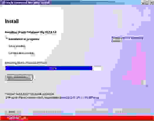 Oracle 10 2 Installation On Windows Server