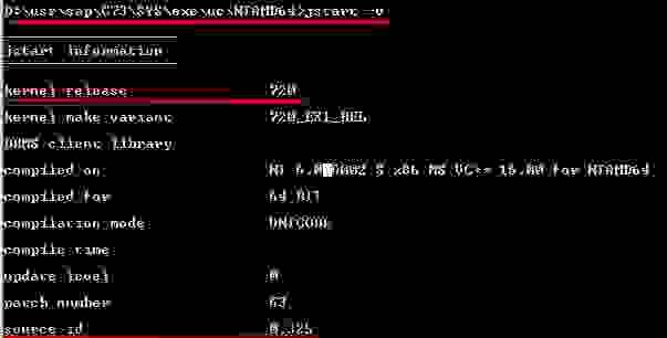 Check Kernel Version Of J2ee Engine