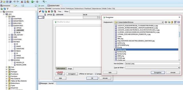 Problem Inserting A Picture Or Png Into A Blob Type Column In