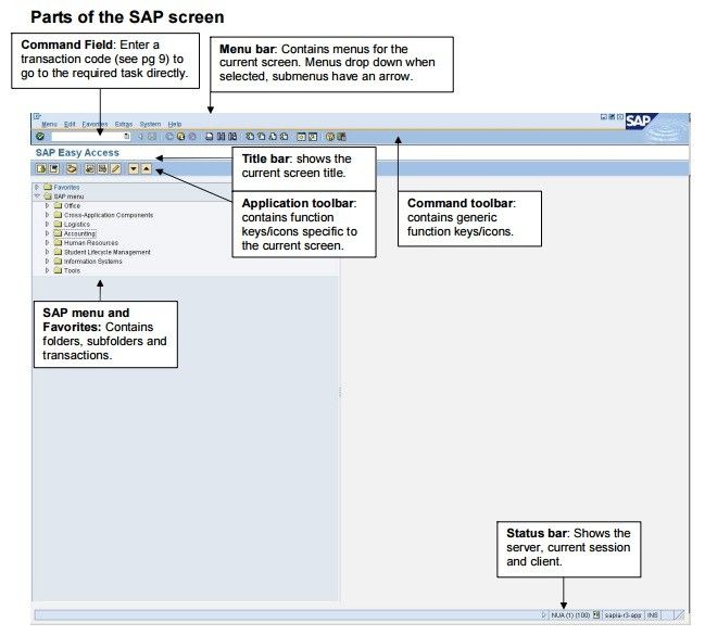 SAP Basics Getting Started
