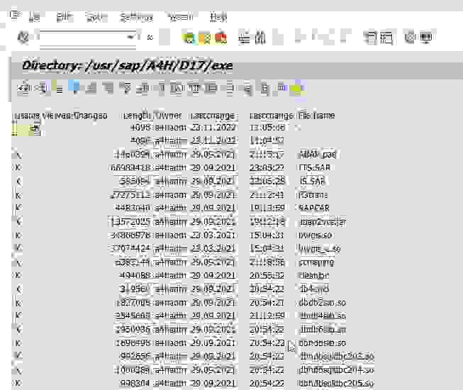 Sap Al11 Display Sap Application Server File Directory 0107