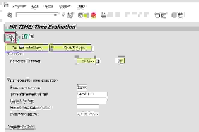 SAP PT60: Run Time Evaluation