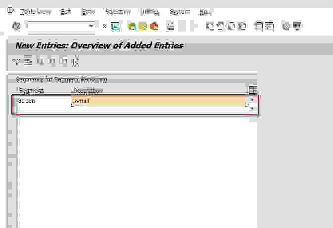 Create Segment in SAP