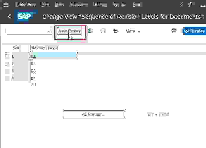 How to Define Revision Level in SAP?