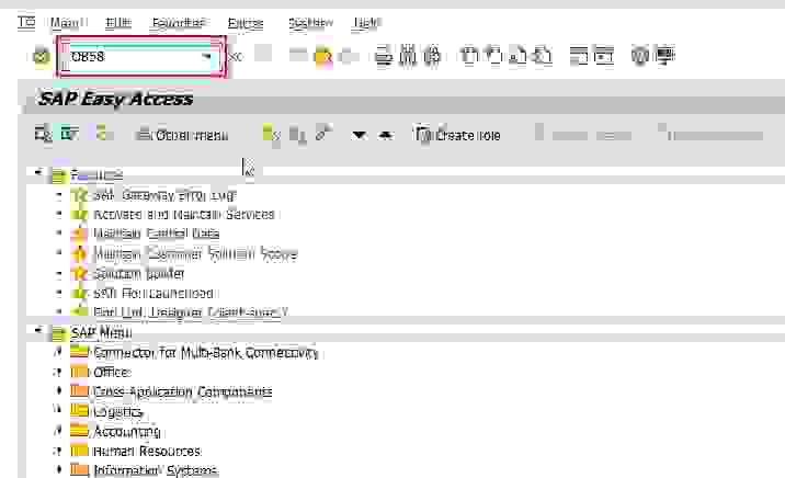 How To Create Fsv Financial Statement Versions In Sap