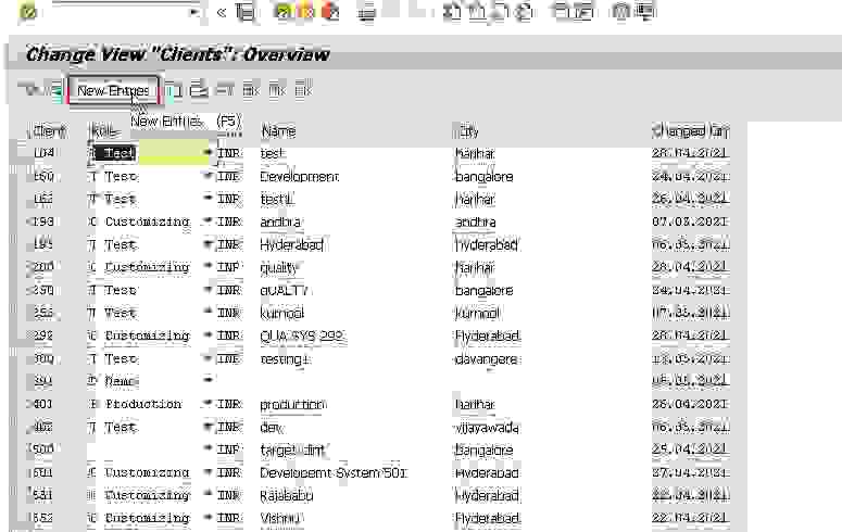 What is SAP Client & How to Create SAP Client?
