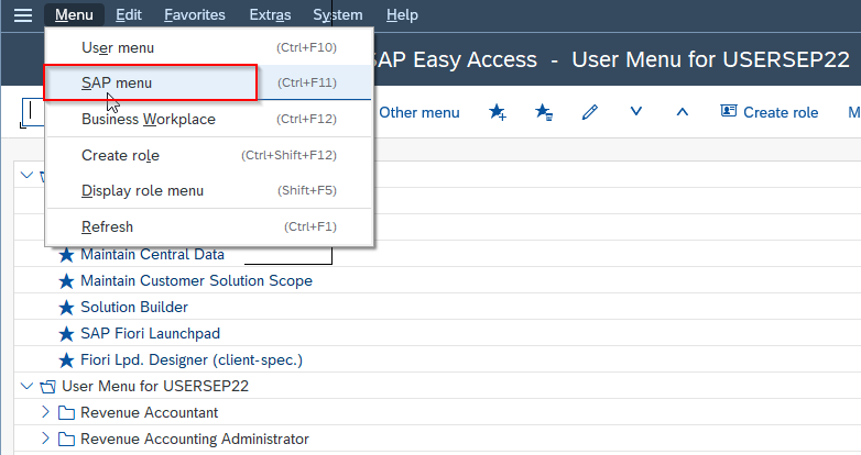 How To Log In And Log Off To The Sap System