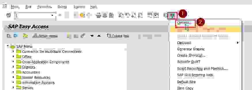 Top 7 Sap Tips And Tricks For Beginners