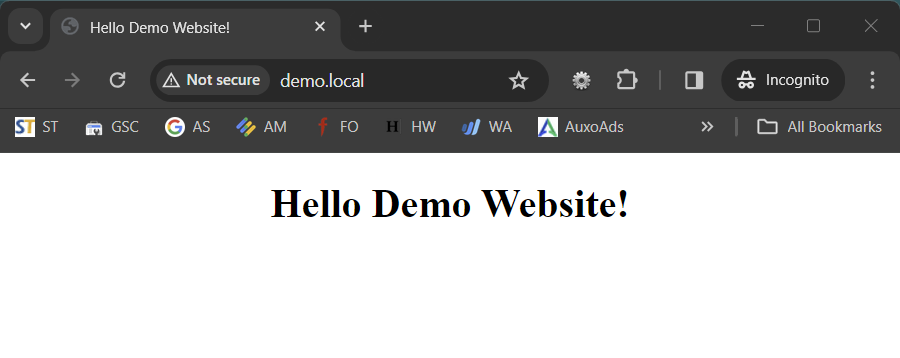 How to Create Virtual Host on XAMPP (Windows)